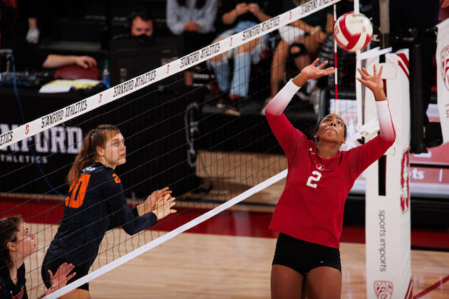 Kipp, Baird, Miner lead deep, talented Stanford - Volleyballmag.com