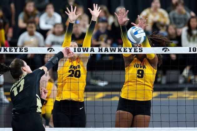 NCAA volleyball: Oregon, Minnesota, S. Carolina, Rutgers get big wins ...