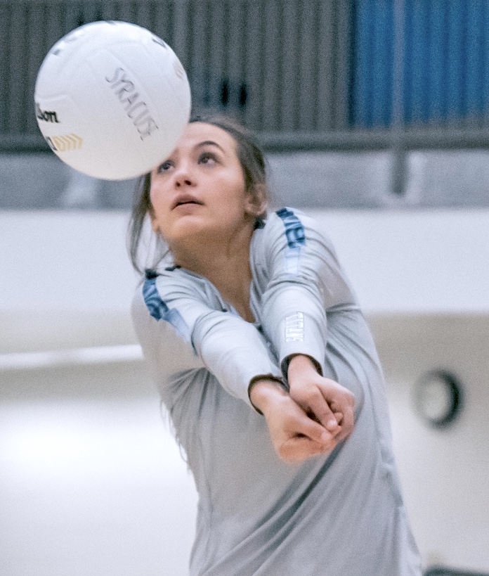 First of the season: HS volleyball national Dream Team players of the ...