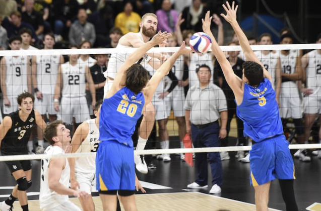 NCAA men's volleyball: UCLA beats Long Beach again; Hawai'i, GCU roll ...