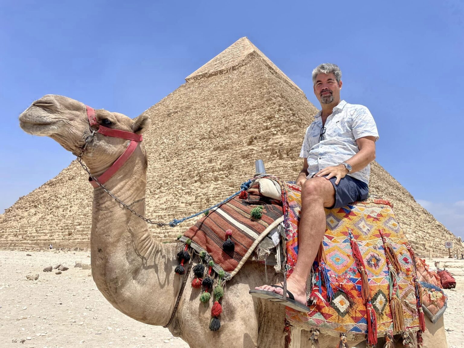NCAA women's volleyball: Coaching moves, teams go on tours and camels ...