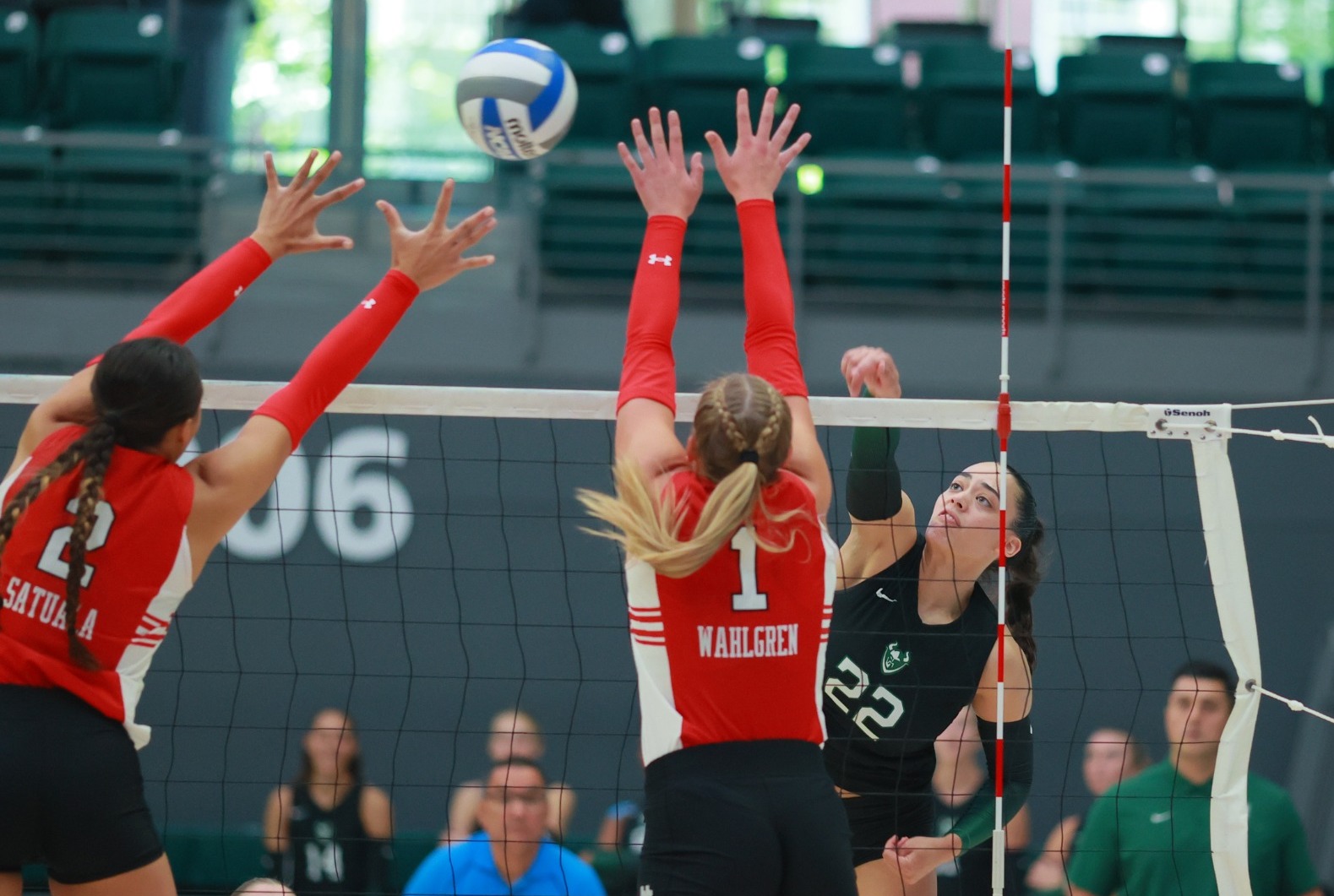 NCAA volleyball: Stanford sweeps Rice; big wins for Abilene Christian ...